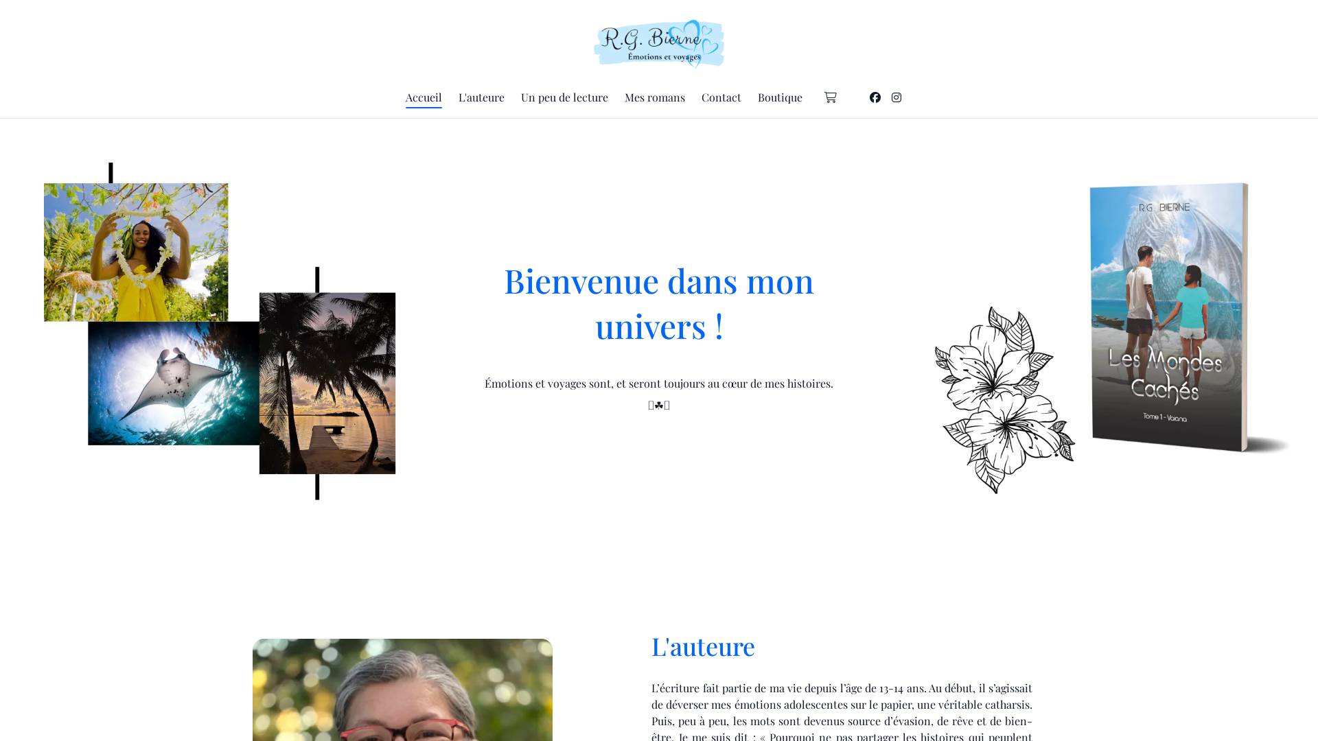 RG Bierne - Mes romans